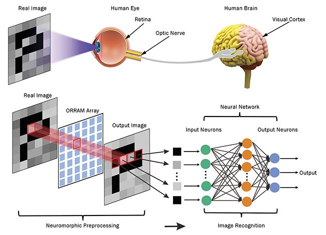 Can Neuromorphic Vision Accelerate The Arrival Of Intelligent Robots